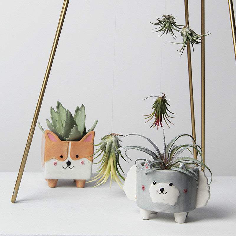 Adorable Animal Flower pot – HORTITOITY